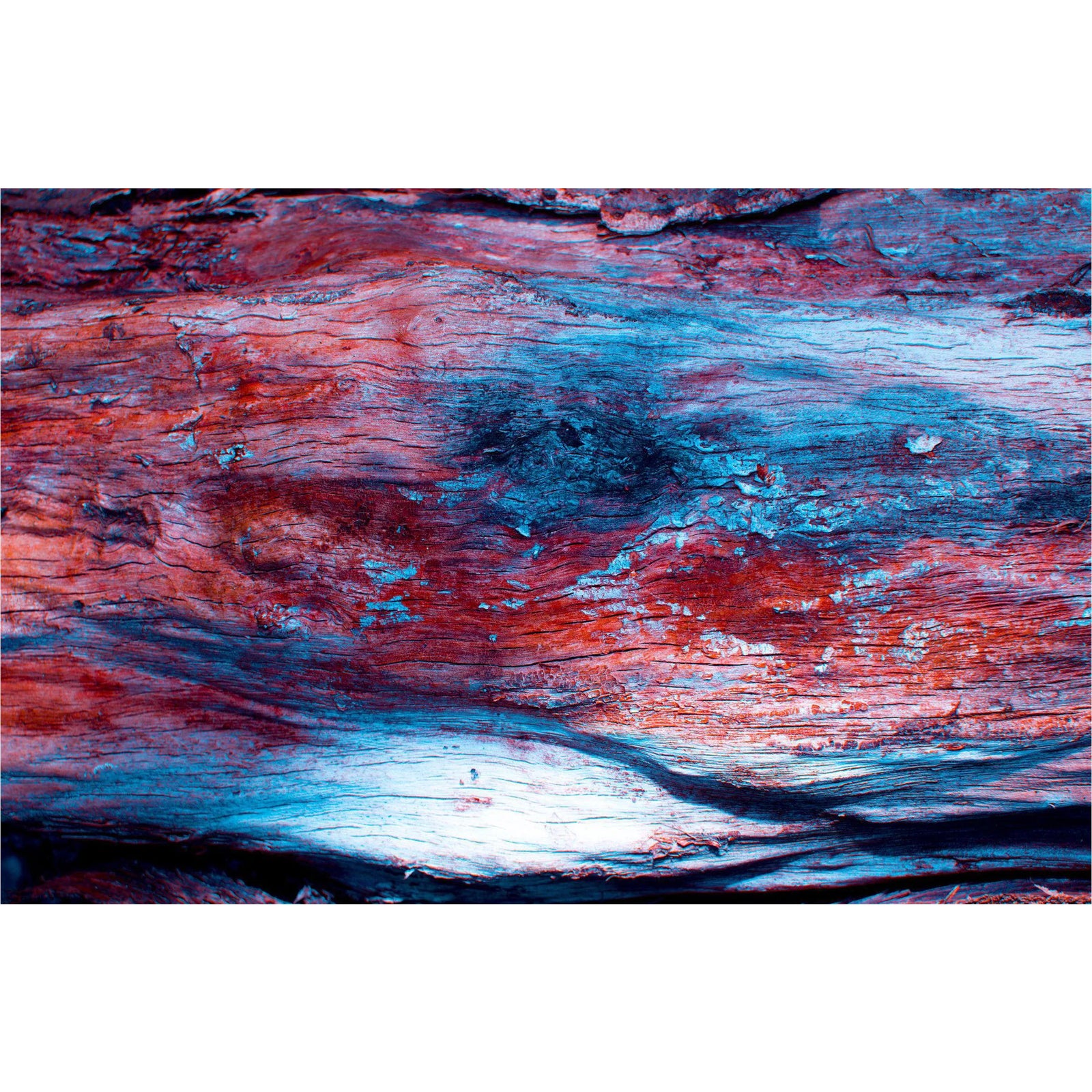 Marko Milić, The Land of Free, Abstract Photography | Chairish