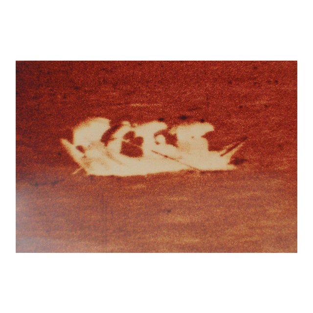 1962 Richard C. Bray Rangoon Burma Micrograph Technique Photograph ...