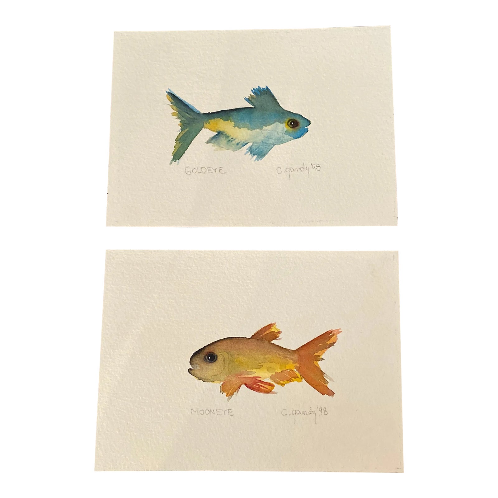 1990s Watercolor Fish Paintings Small Scale - a Pair | Chairish