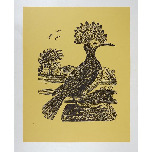 1960s Jonathan Fisher Bird Woodcut on Mustard Paper | Chairish