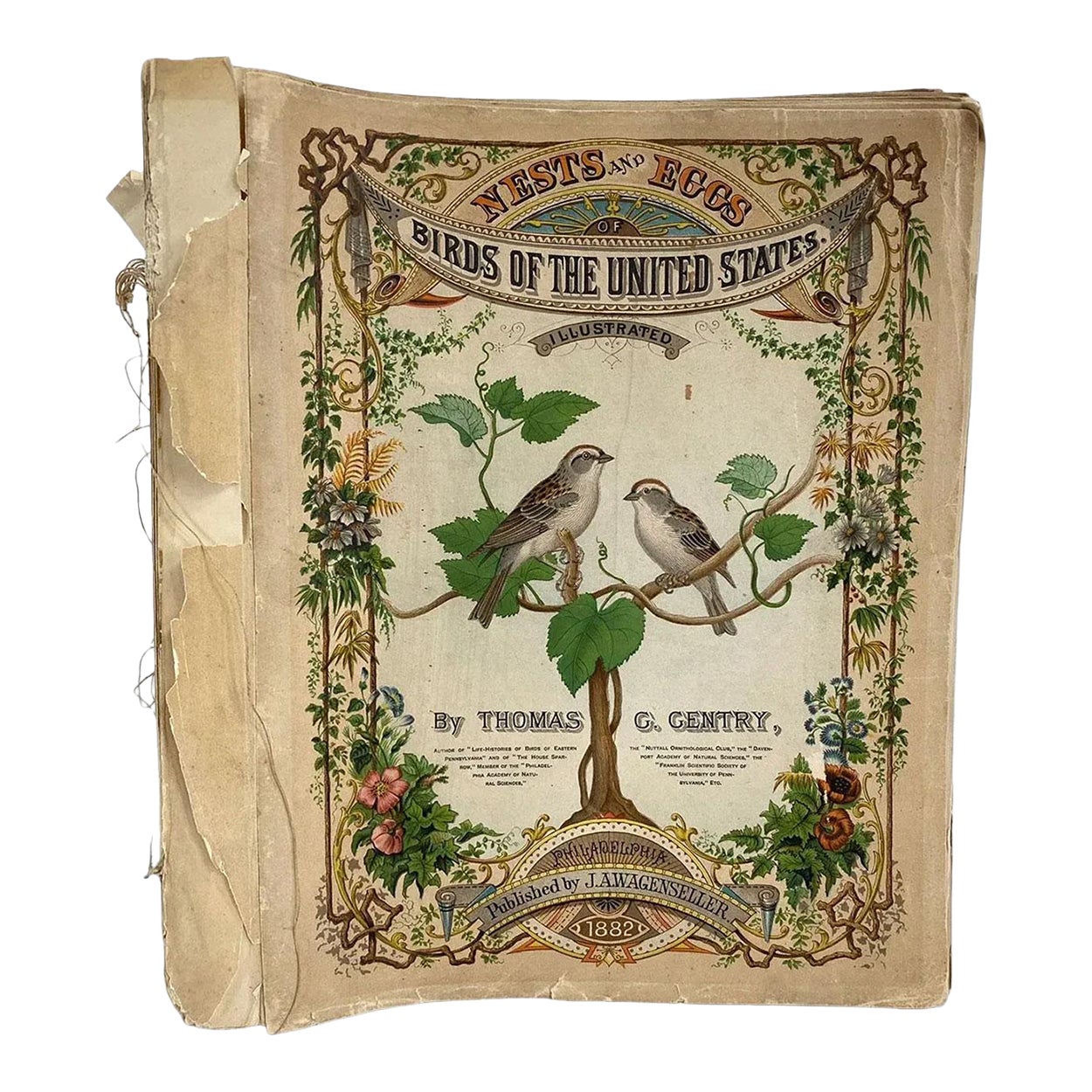 Rare Book Thomas G. Gentry Nests and Eggs of Birds of the United States ...