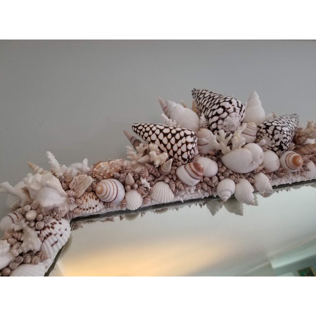 Handmade Natural Sea Shell Encrusted Wall Mirror | Chairish