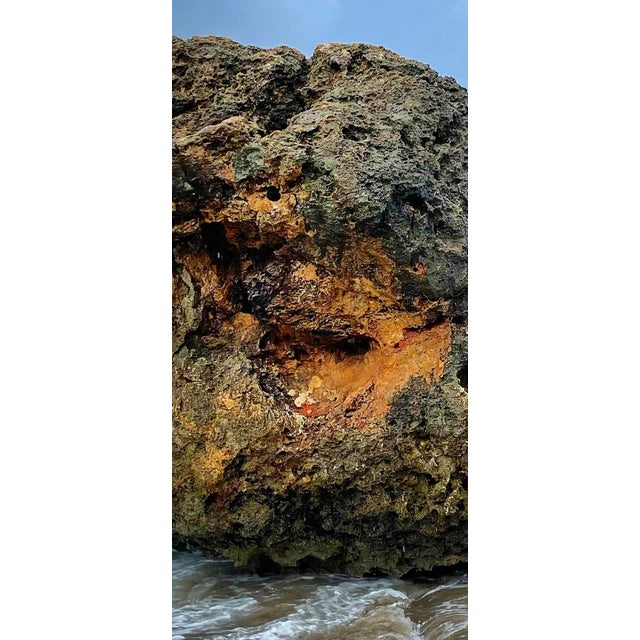 Hans Petrich Photograph, ‘A Massive Sea Change’ | Chairish