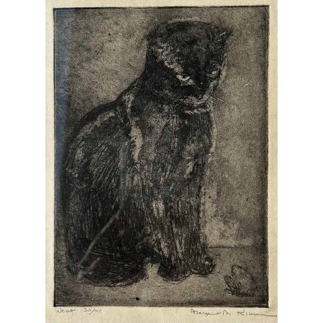 Antique Etching of a Cat and Butterfly Signed and Numbered | Chairish