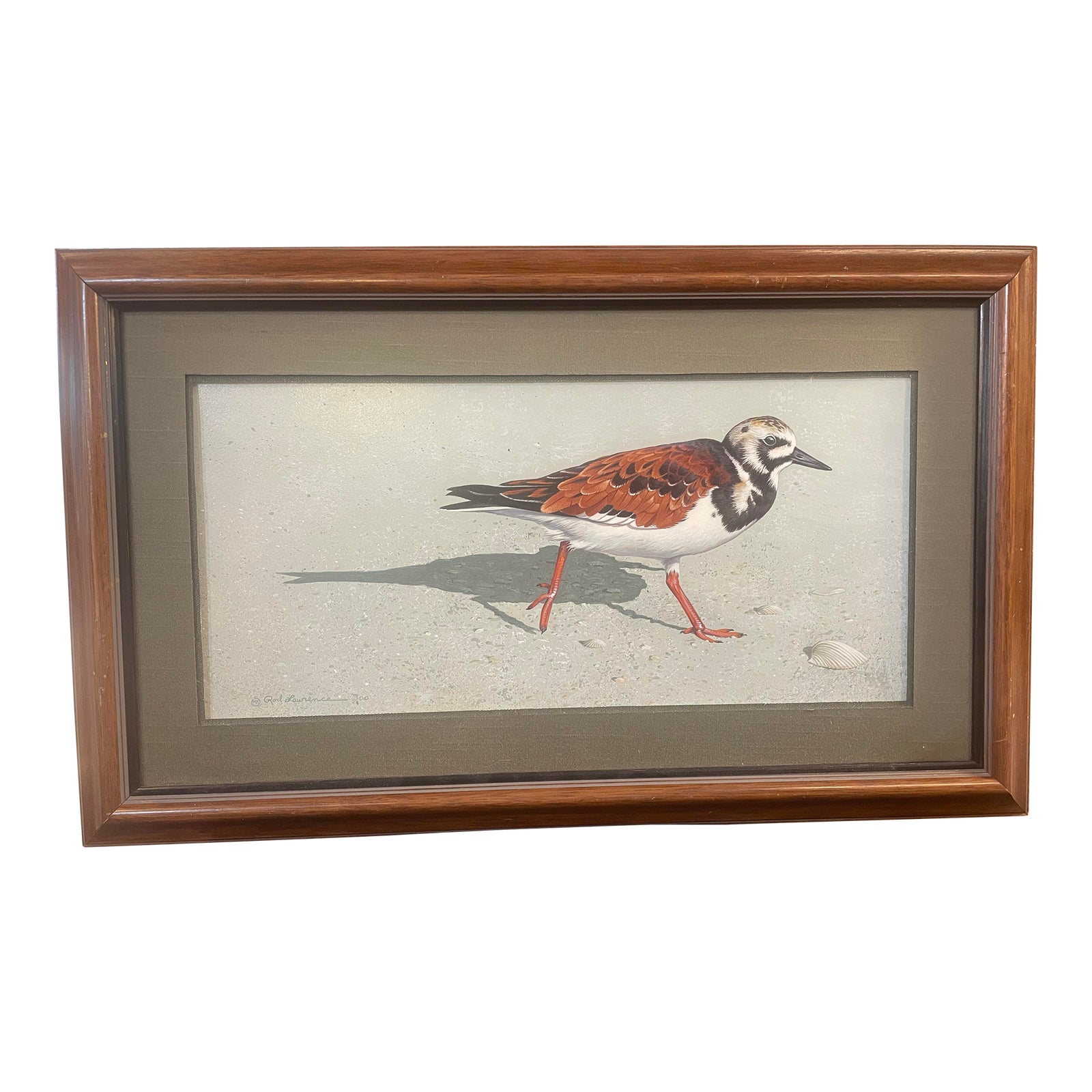 Acrylic on Board by Rod Lawrence “Beachcomber” Shore Bird Amazing ...