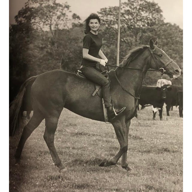 "Horse" 2008 Klein, Kelly | Chairish