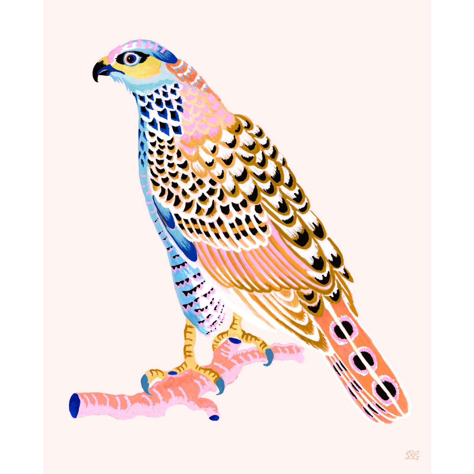 Fancy Hawk Contemporary Giclee Print by Sarah Gordon | Chairish