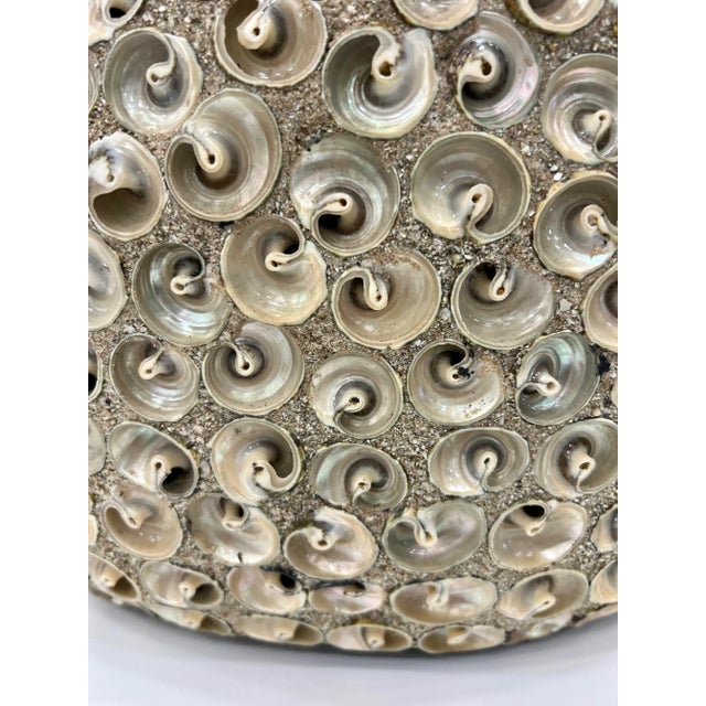 Overscaled Sea Shells Vase | Chairish