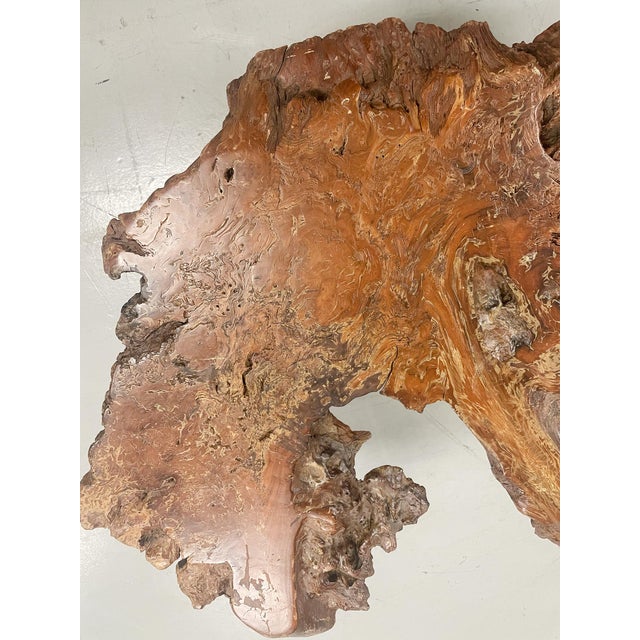 Mid-20th Century Amorphous Root Coffee Table | Chairish