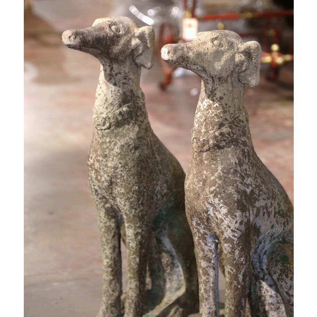 Vintage French Outdoor Weathered Carved Stone Greyhound Dog Sculptures ...