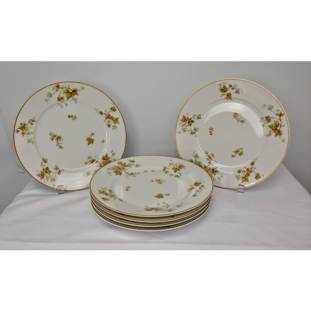 Vintage Haviland's Autumn Leaf Pattern Dinner Plates, Set of 6 | Chairish