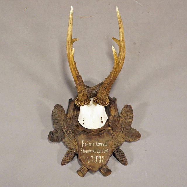 Great Deer Trophy Mount on Wooden Carved Plaque 1902 | Chairish
