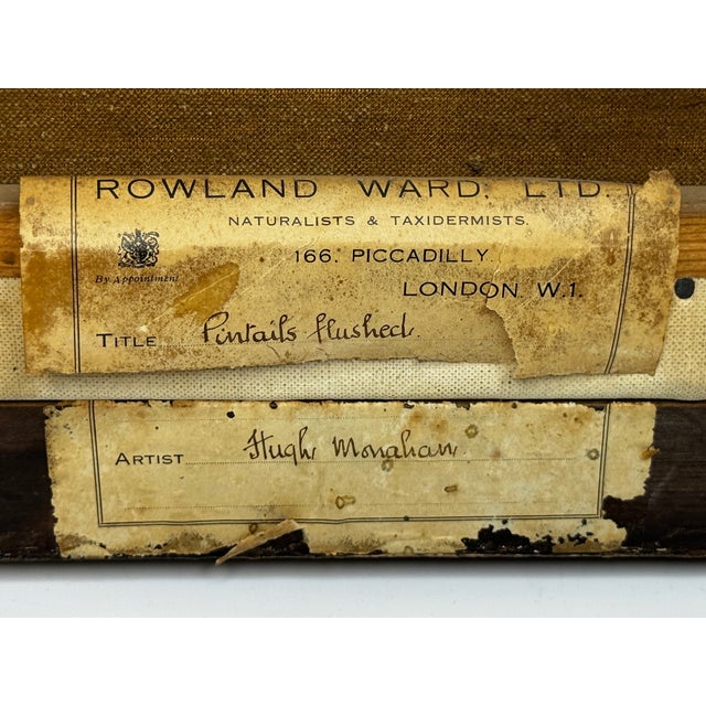 Mid Century Oil Painting Canadian Ducks Pintails Flushed Out Duck Duck ...