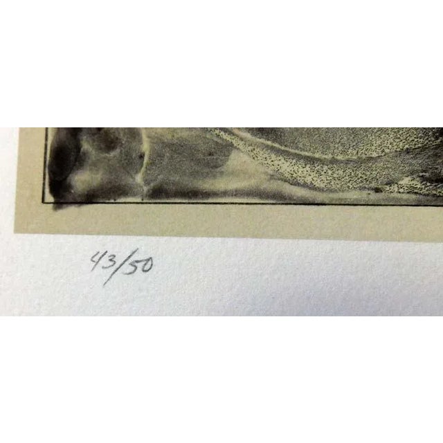 1986 "Night Current" Frank Howell Original Signed Lithograph | Chairish