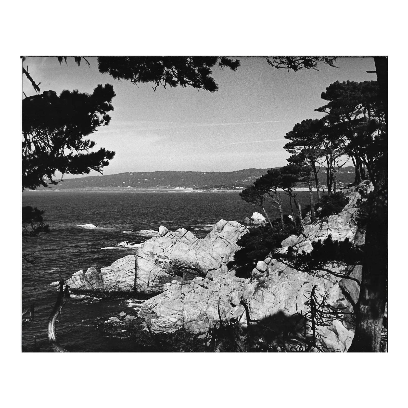 1974 Point Lobos Coastal Photograph by Don Ware | Chairish