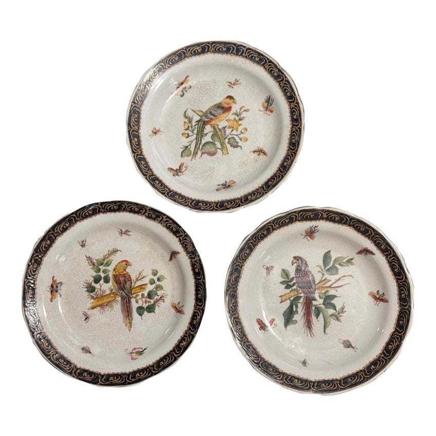 Vintage Hua Ping Tang Zhi Chinoiserie Parrot & Butterfly Wall Plates ...