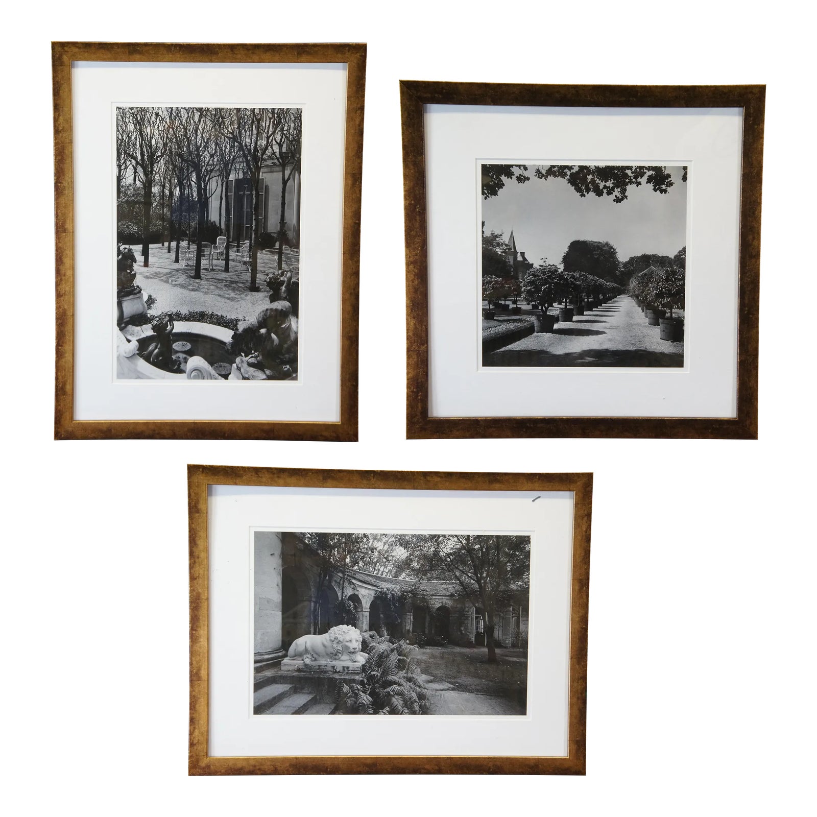 Black and White Decorative Garden Photographs in Gold Frames of Castle ...