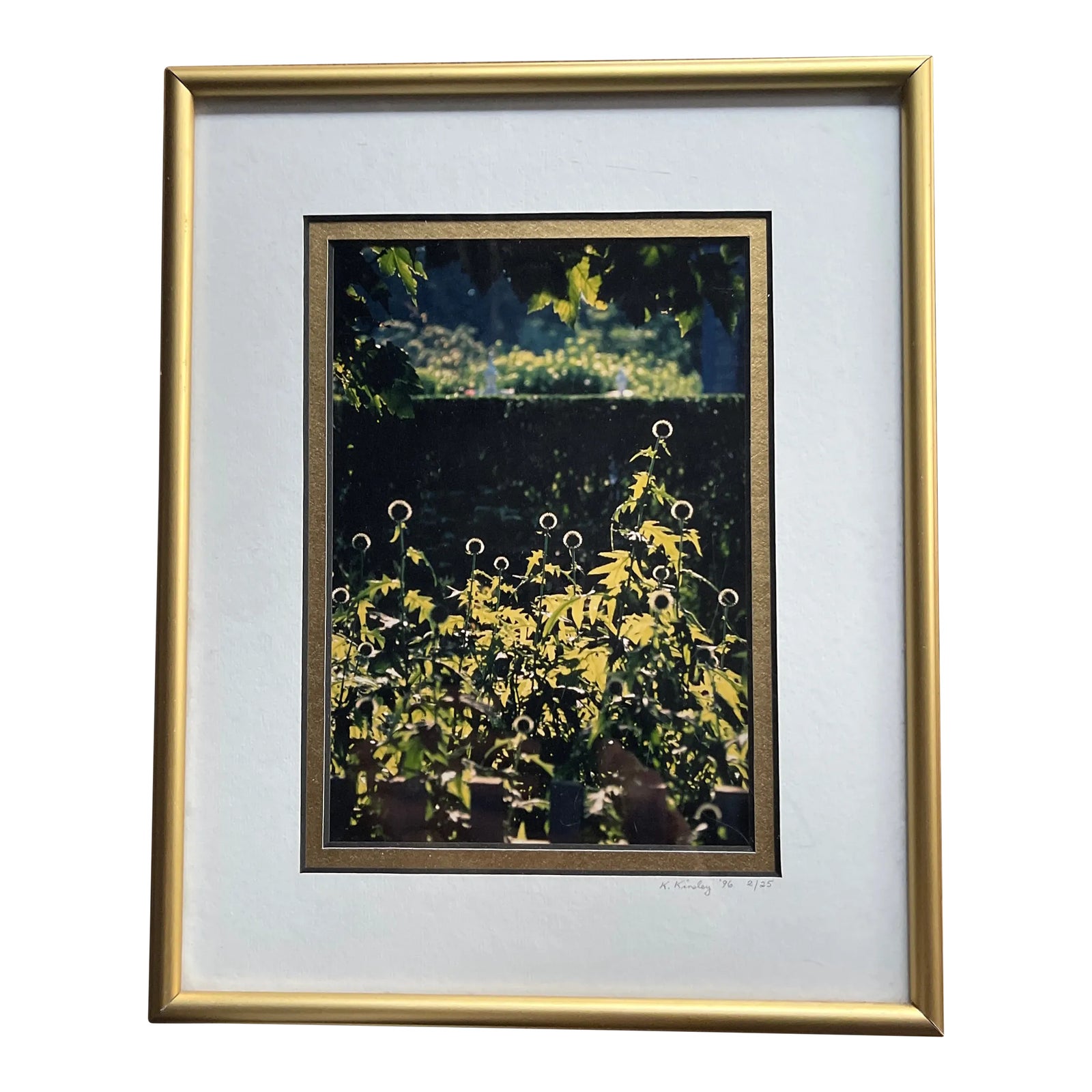 Vintage Nantucket Landscape Limited Edition Photograph | Chairish