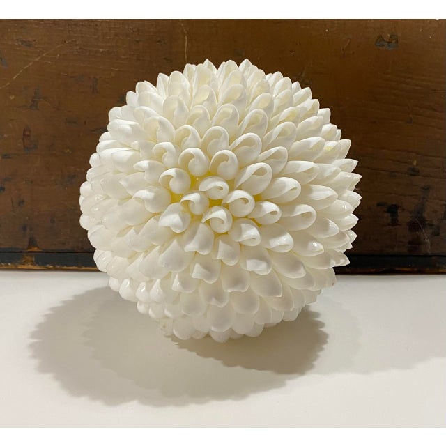 Vintage White Sea Shell Ball | Chairish