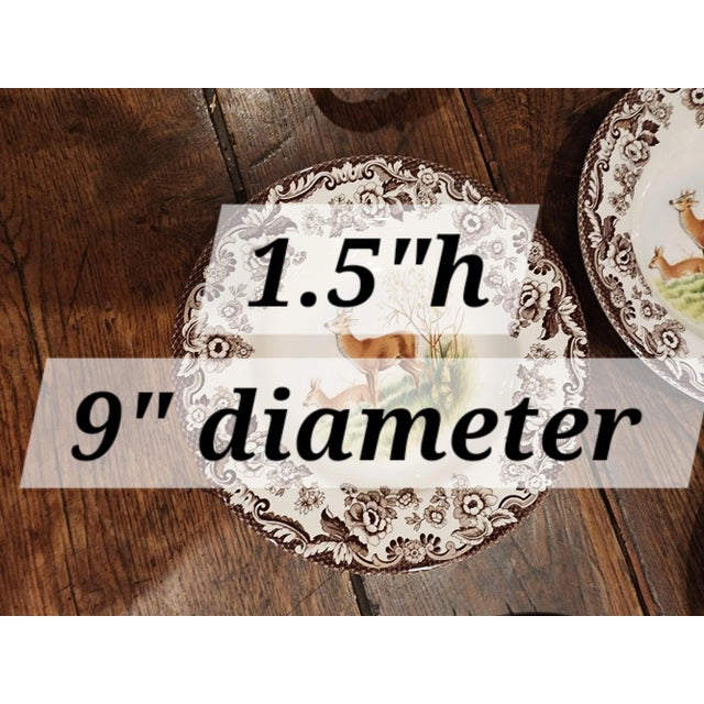 Spode Woodland Deer Motif Bowls | Chairish