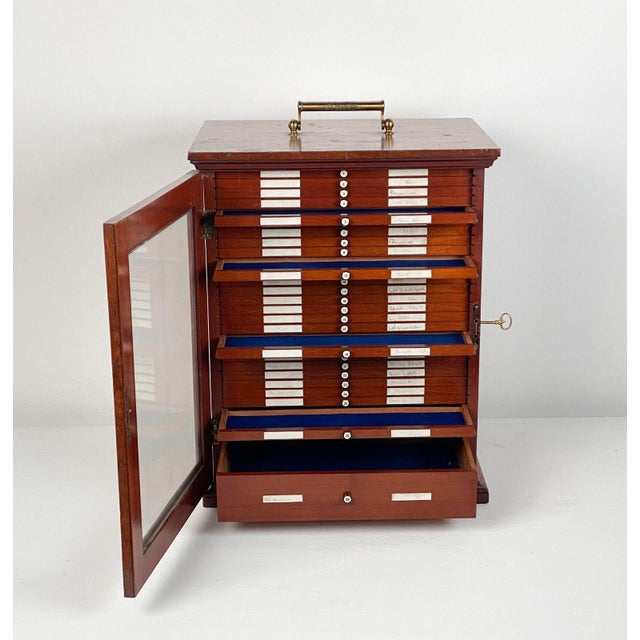 Collector's Cabinet, England Circa 1880 | Chairish