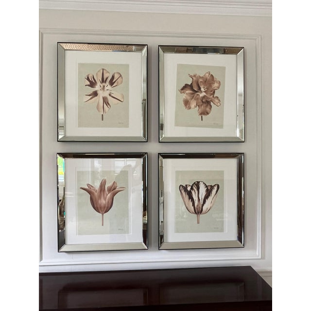 Original Botanical Prints by Peter Arnold in Trowbridge Gallery ...