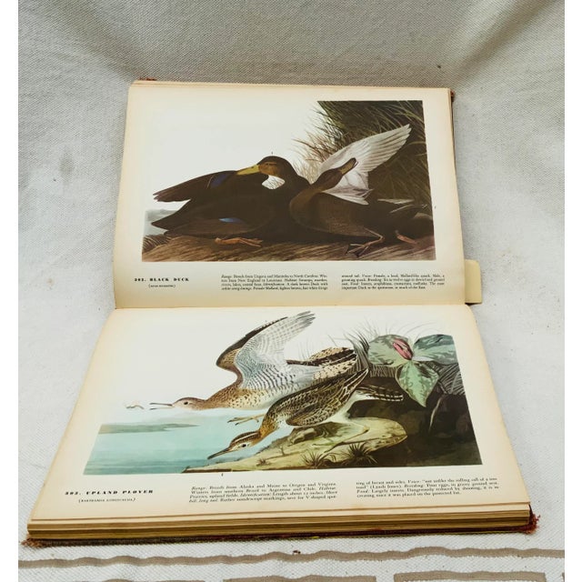 Audubon Bird Book,1944 Edition | Chairish