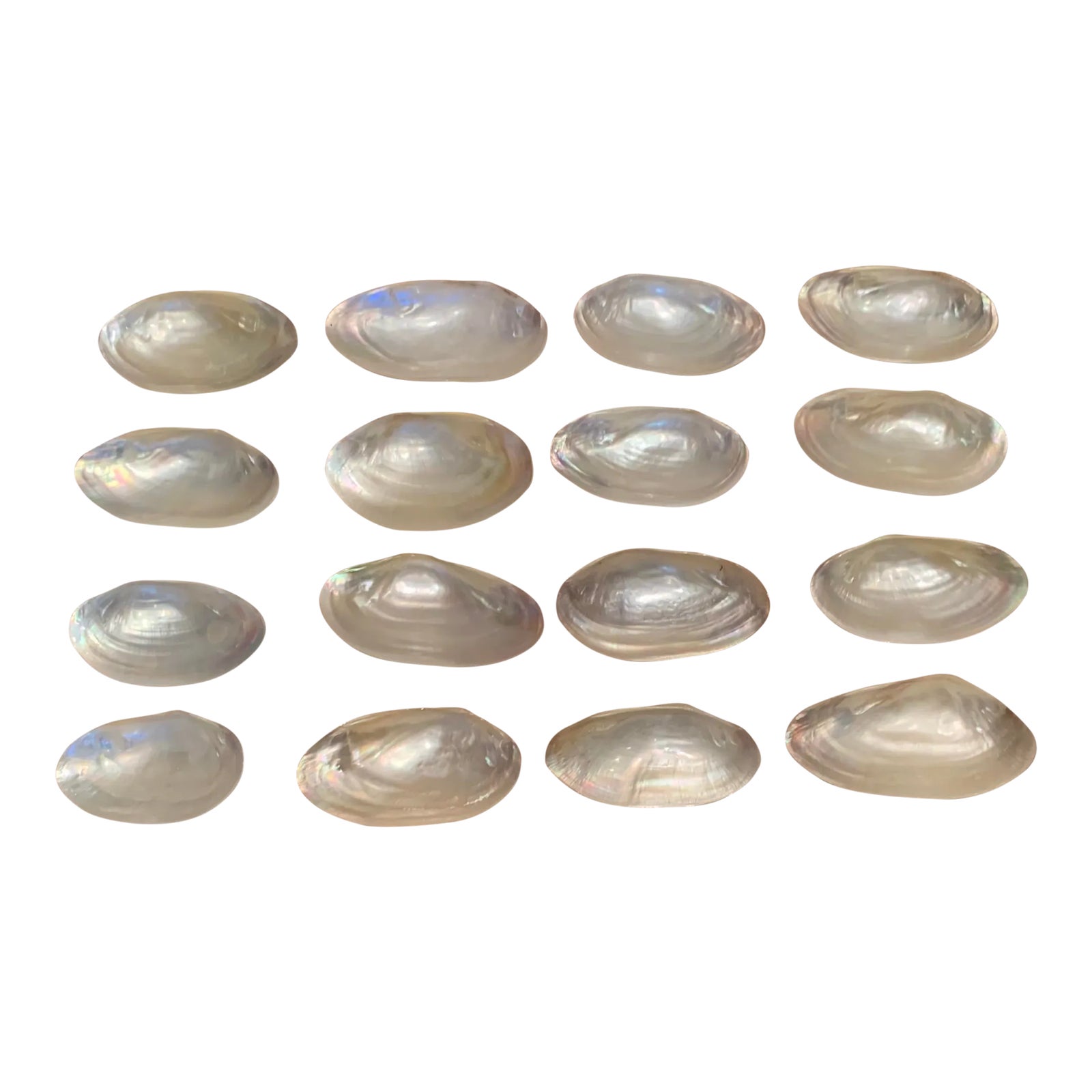 Vintage Shell Salt and Pepper Cellars- Set of 16 | Chairish