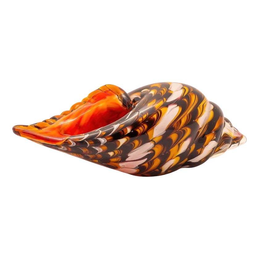 Skip diving found this glass shell can anyone help me identify it | New ...