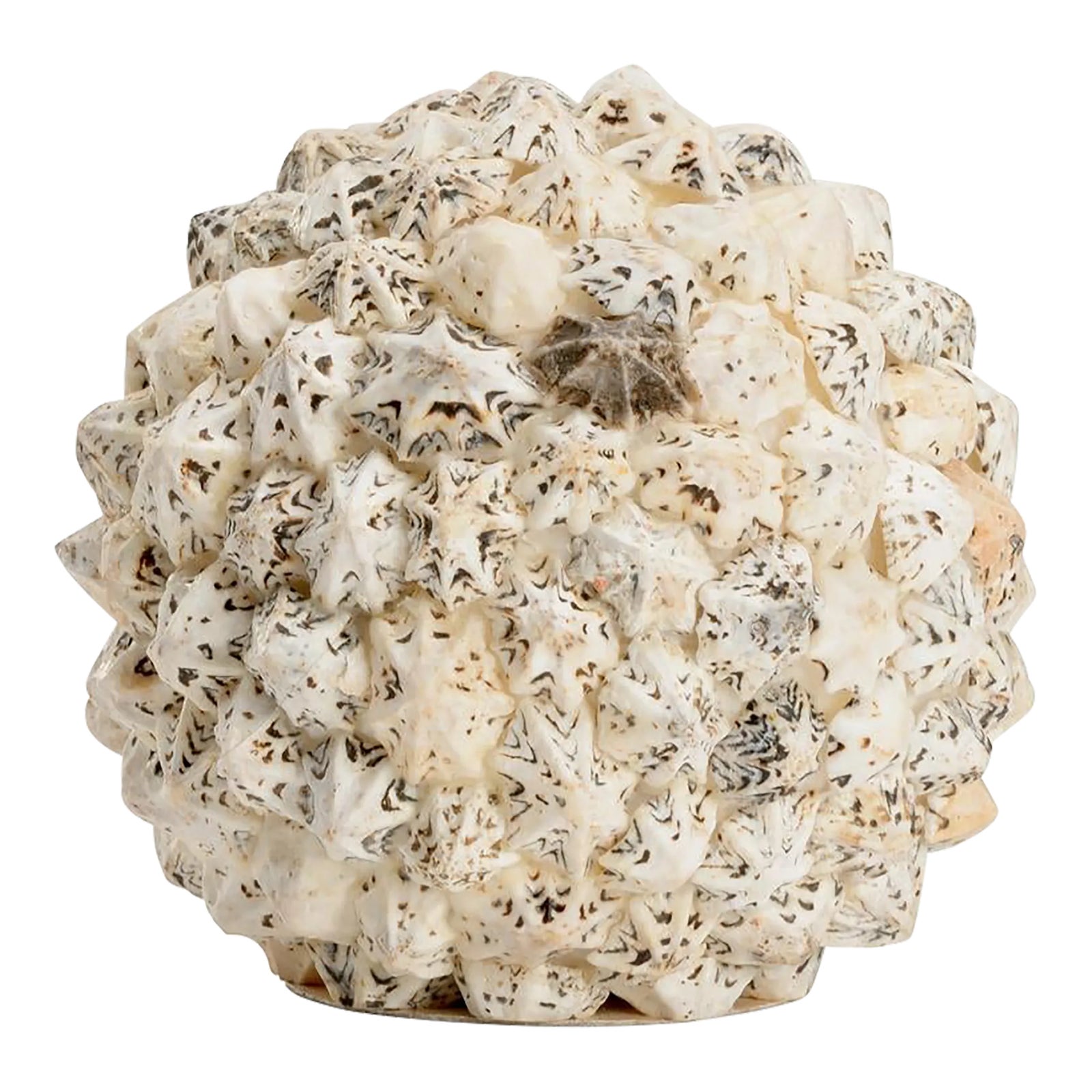 Shell Ball, Large | Chairish