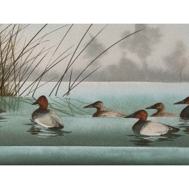 Canvasback Duck Watercolor Landscape by American Artist Craig Peterson ...