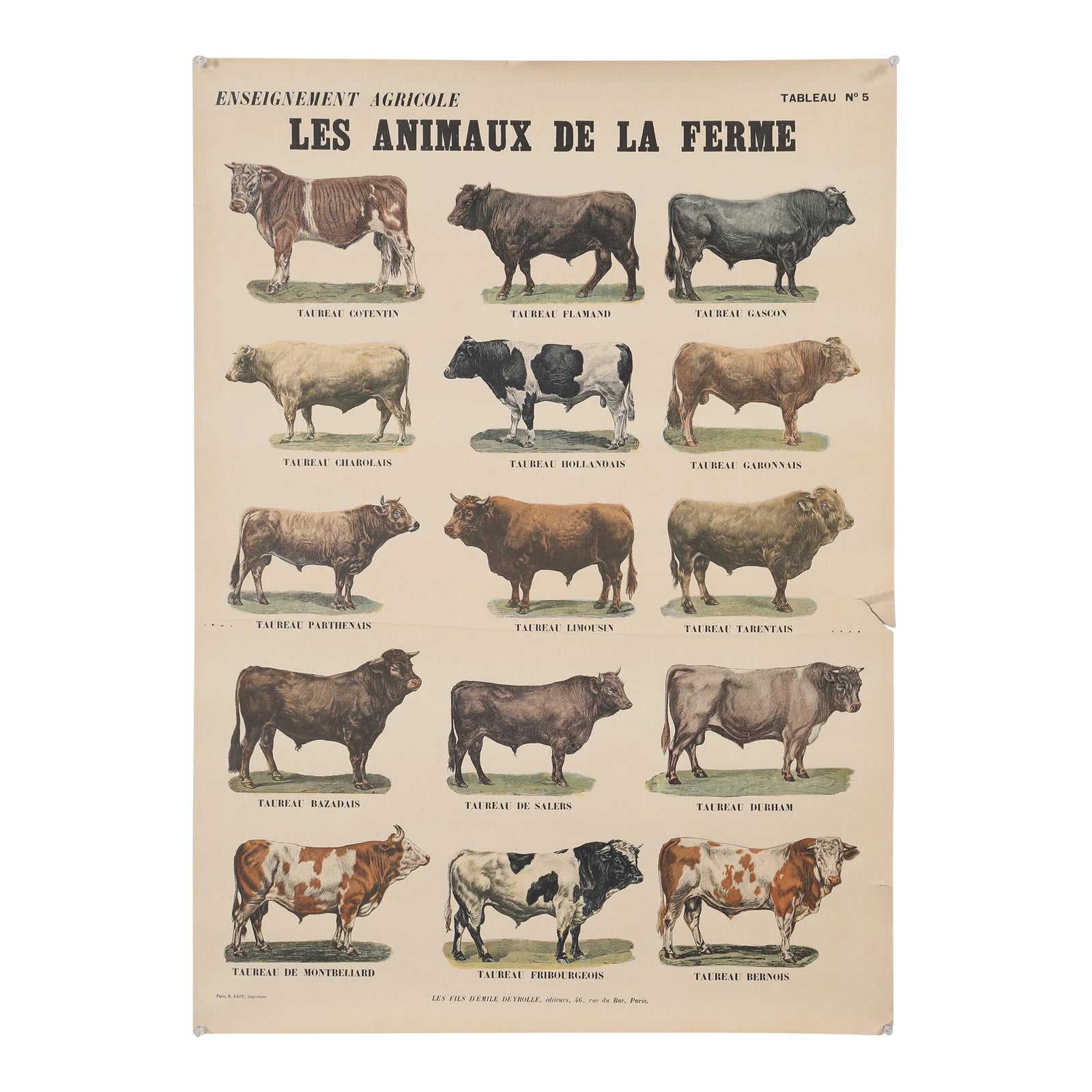 Old French Poster of Farm Animals Great for Country French Kitchen From ...