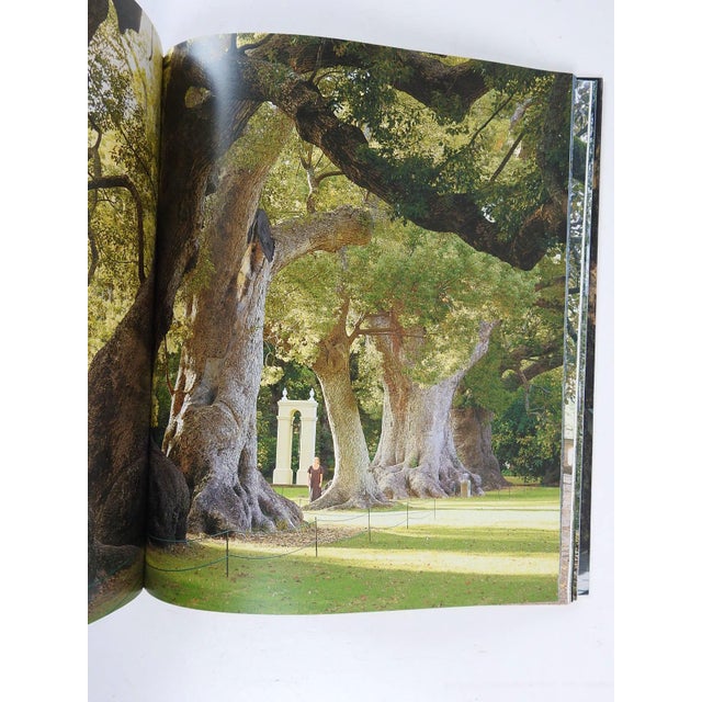Remarkable Trees of the World Book | Chairish