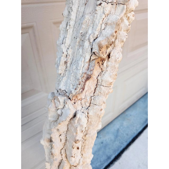 Unique Extra Tall Organic Coastal Tree Limb Branch Sculptures Art ...