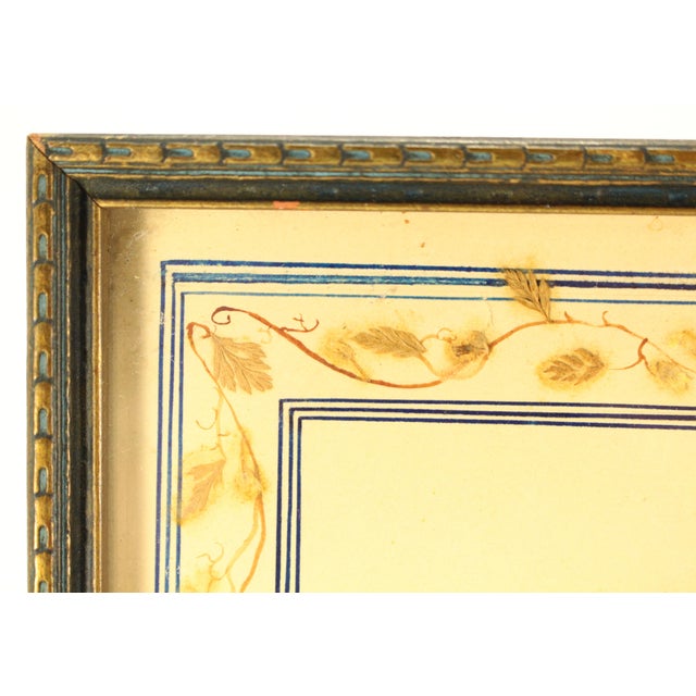 19th Century Watercolor & Herbarium Drawing of Acropolis & Calligraphy ...