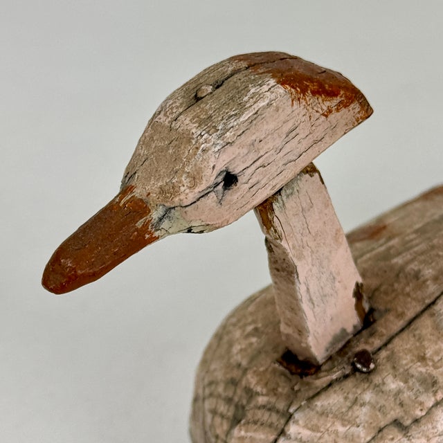 Antique Root Head Coot Duck Decoy in Pink, Primitive Folk Art Early ...