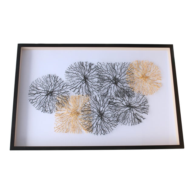 Shadow Box Wall Decor Art Black White Indoor Outdoor | Chairish