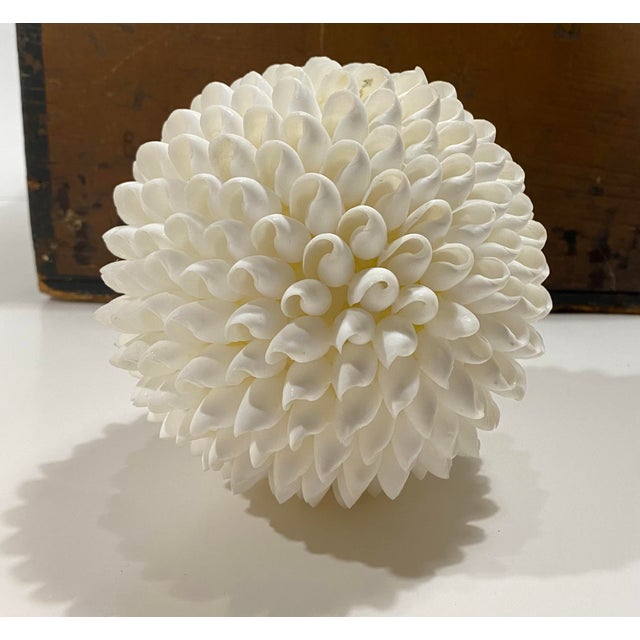 Vintage White Sea Shell Ball | Chairish