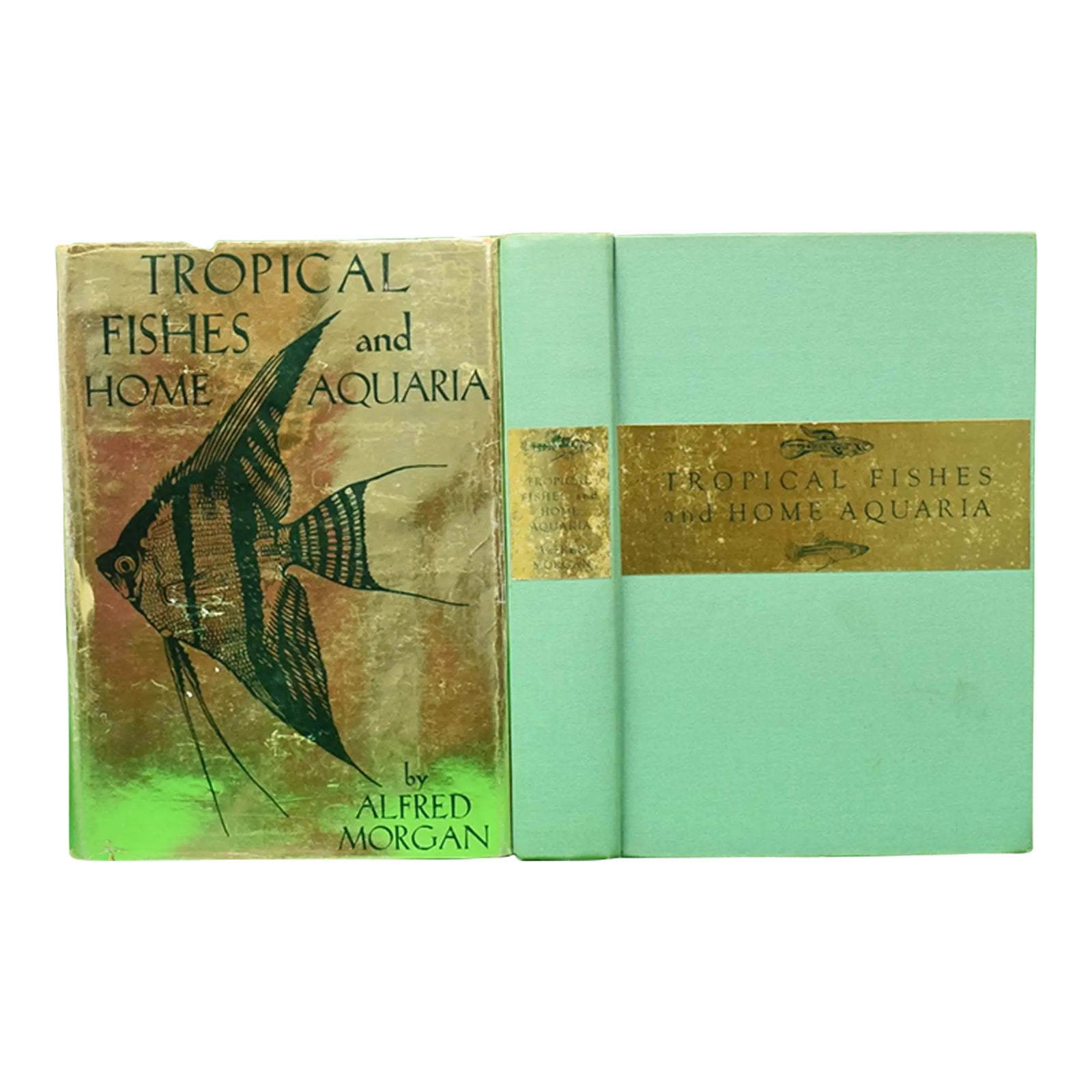 "Tropical Fishes and Home Aquaria: A Practical Guide to a Fascinating ...