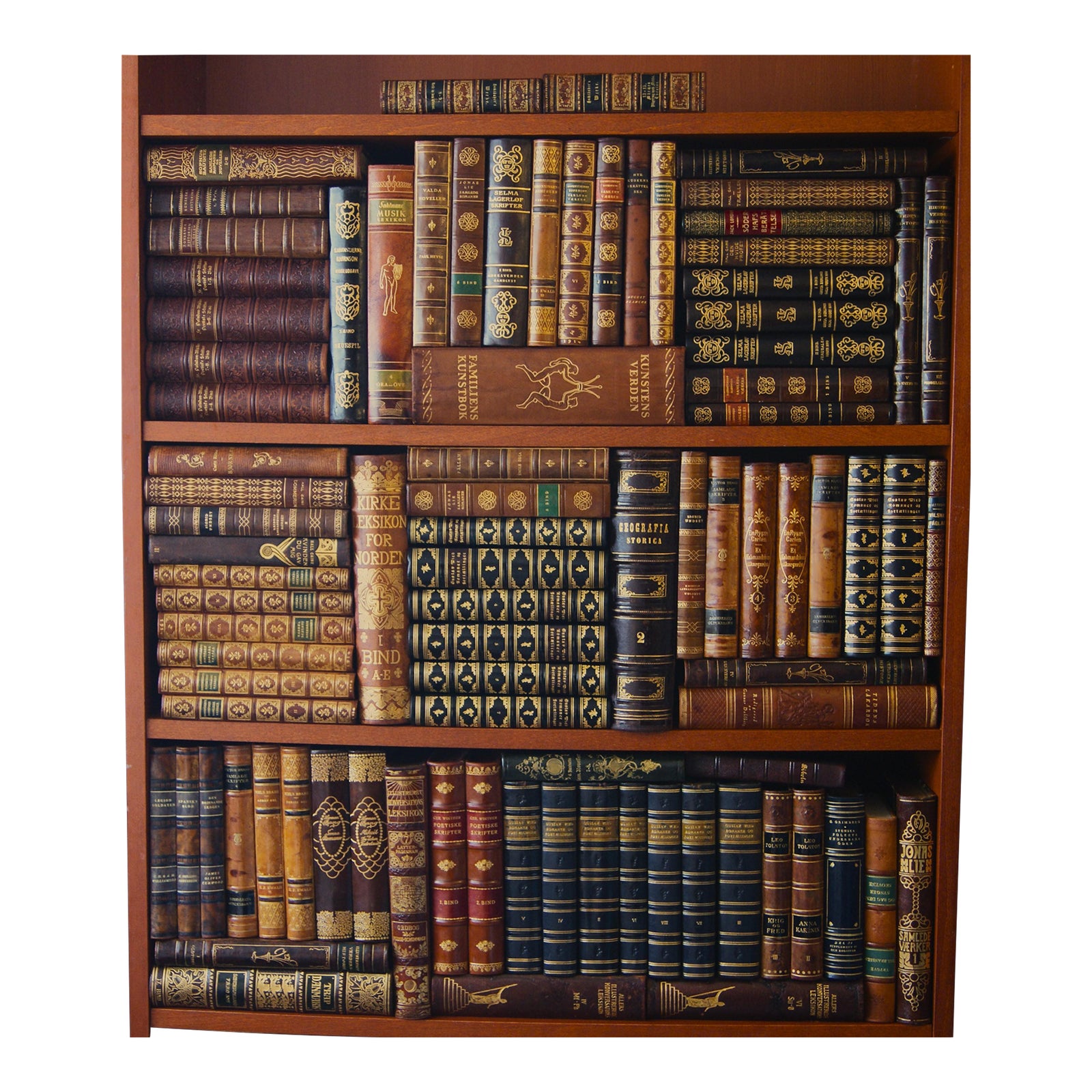 Set of 90 Antique Leather Books From Early 1900 With Decorative Gilding ...