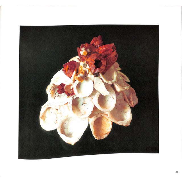 "The Shell: Five Hundred Million Years of Inspired Design" 1988 Stix ...