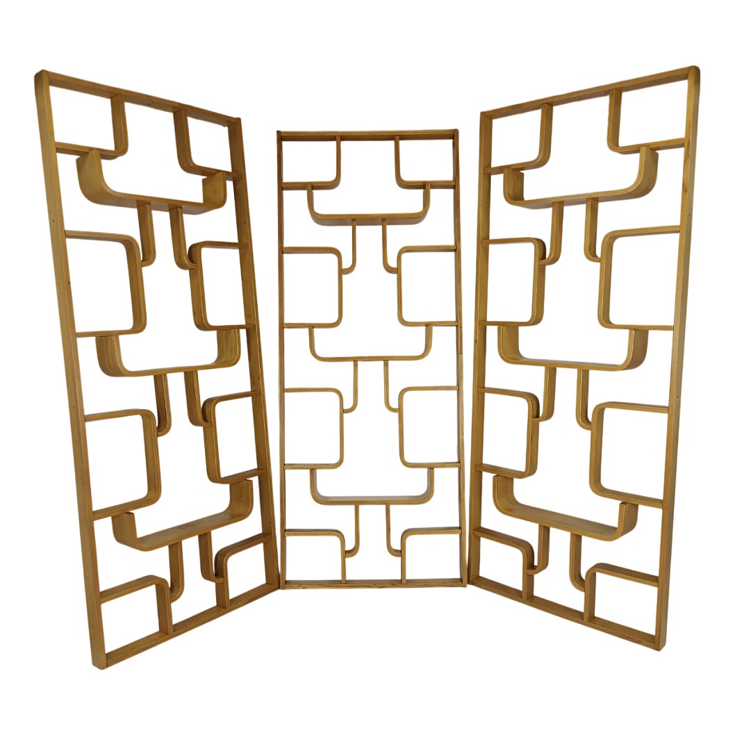 Mid-Century Modern Room Dividers by Ludvik Volak for Drevopodnik ...