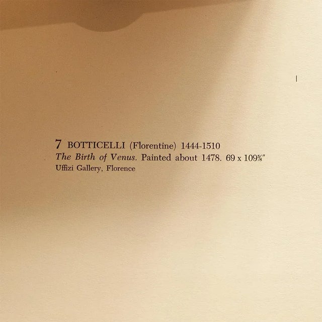 1953 After Botticelli "The Birth of Venus", First Edition Vintage Full ...