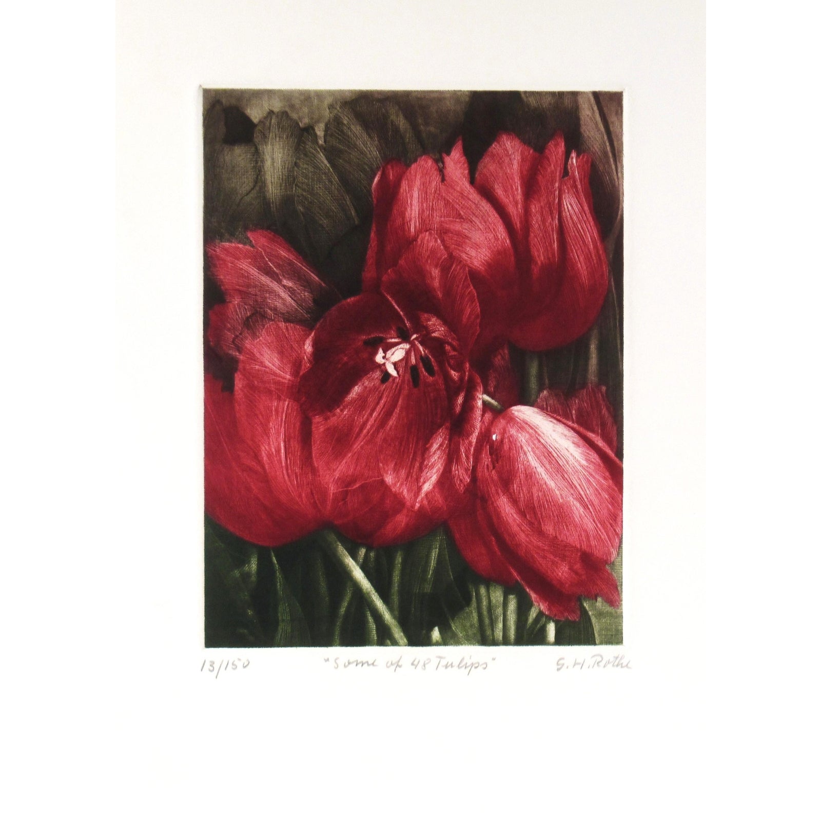 Gatja Helgart Rothe, Some of 48 Tulips, Circa 1990 | Chairish