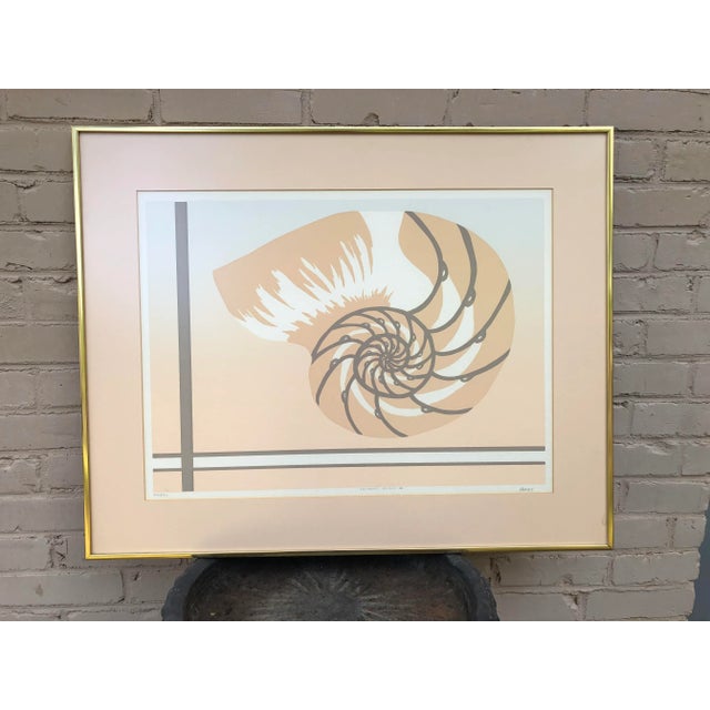 Chambered Nautilus Shell Lithograph Signed by Artist | Chairish