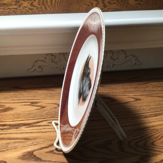 Vintage Solian Ware Simpson's Potters Ltd Cobridge England Schnauzer ...