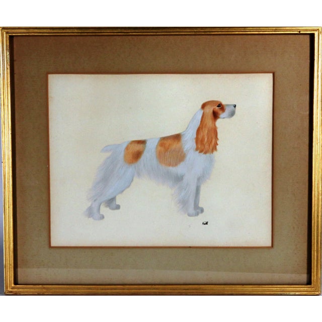 English Cocker Spaniel Watercolor and Gouache Pictures, a Set of Six ...