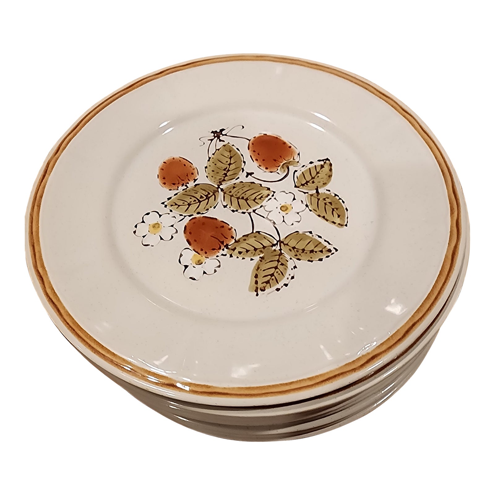 Americana Hearthside Stoneware Dinner Plates | Chairish
