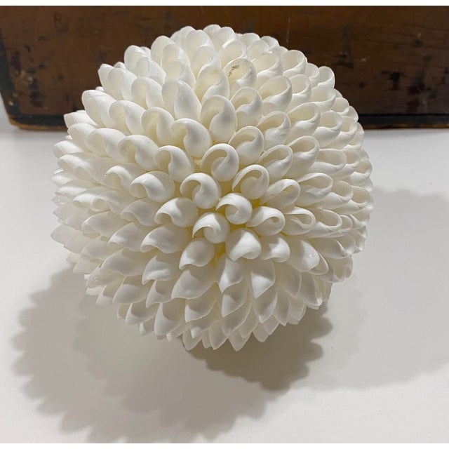 Vintage White Sea Shell Ball | Chairish