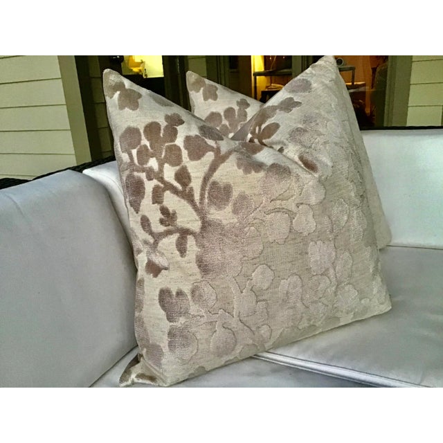Blossom Raised Velvet Floral in Natural Down Filled Pillows - a Pair ...